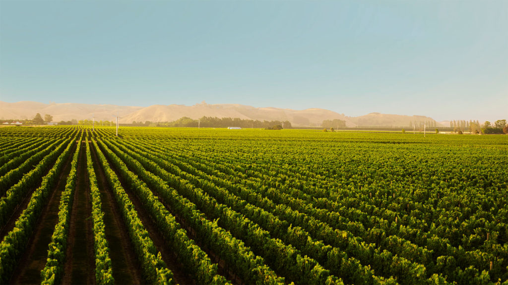 Abbey Winery and Brewery